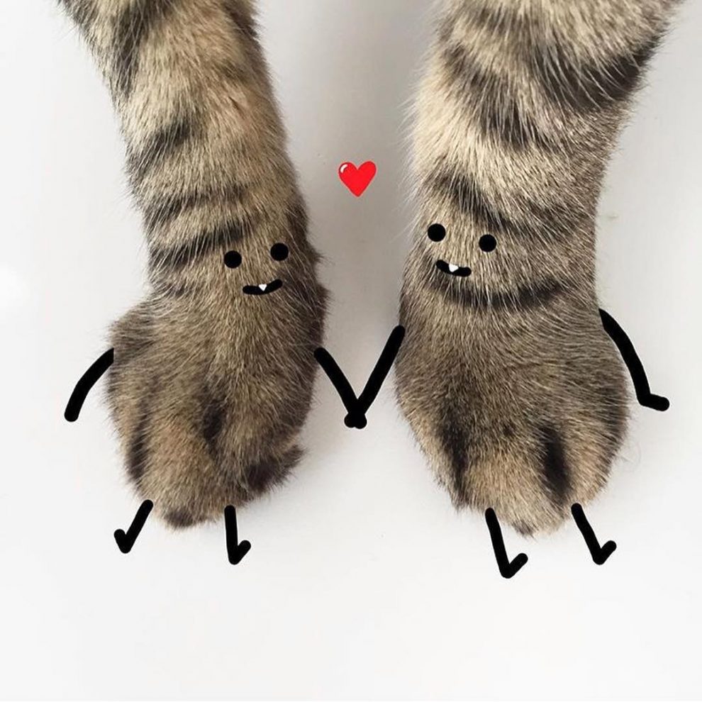 Crack Yourself Up With Sean Charmatz’s Amazing Creations » Design You ...