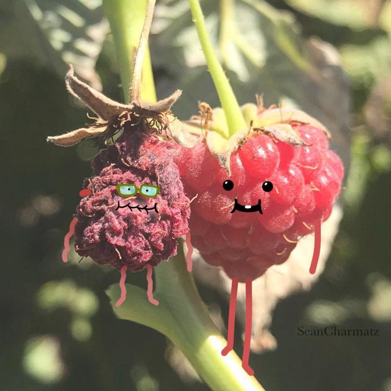 Crack Yourself Up With Sean Charmatz’s Amazing Creations » Design You ...