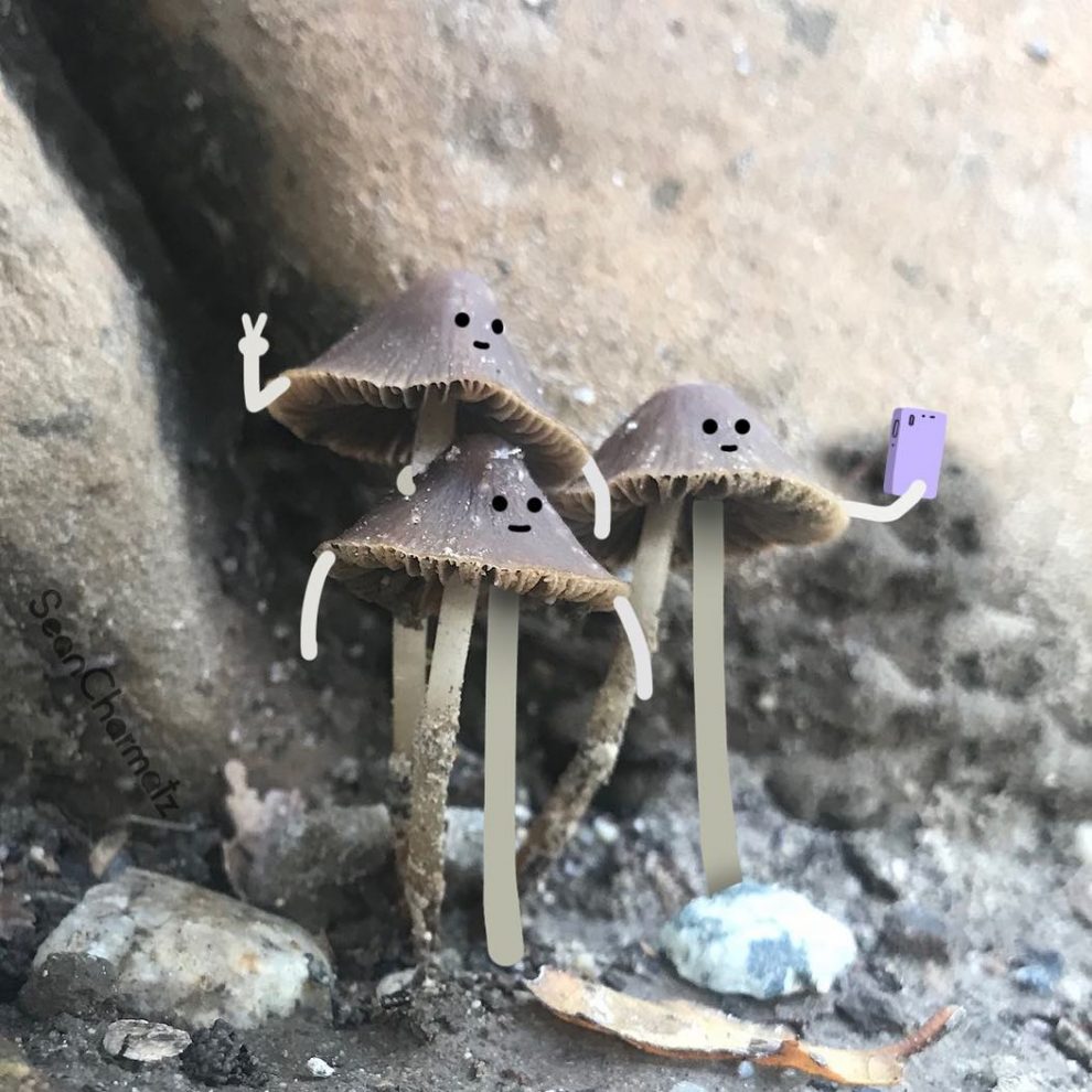 Crack Yourself Up With Sean Charmatz’s Amazing Creations » Design You ...