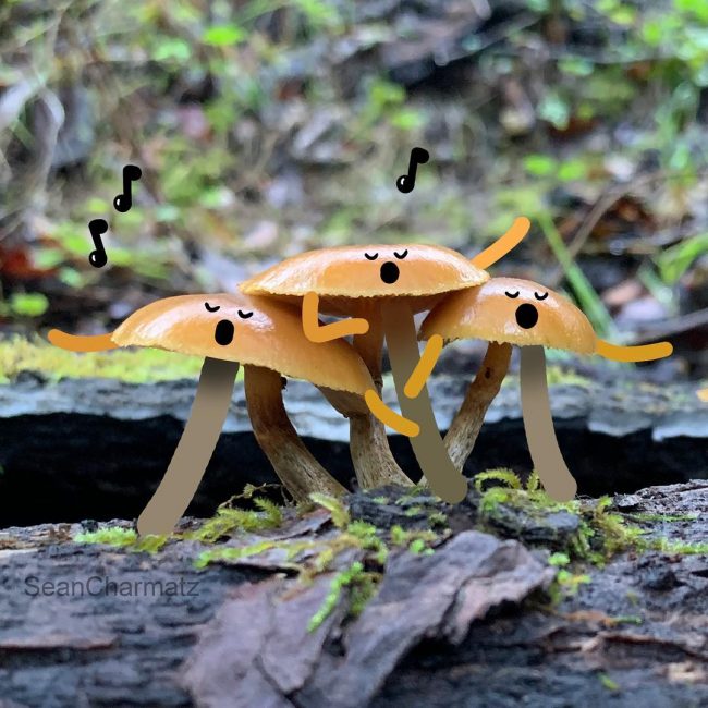 Crack Yourself Up With Sean Charmatz’s Amazing Creations » Design You ...