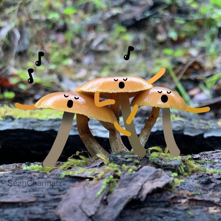 Crack Yourself Up With Sean Charmatz’s Amazing Creations » Design You ...