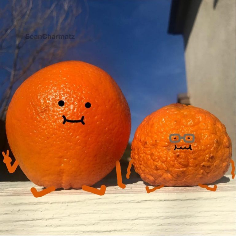 Crack Yourself Up With Sean Charmatz’s Amazing Creations » Design You ...