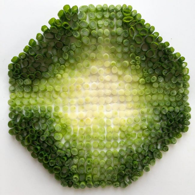 This Artist Arranges Fruits And Vegetables Into Colorful Patterns ...
