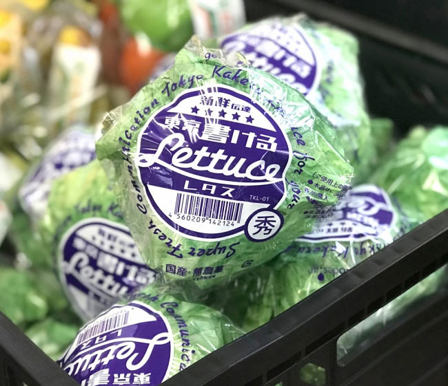 This Realistic Lettuce Notepad Is Great For Jotting Down Fresh Ideas ...