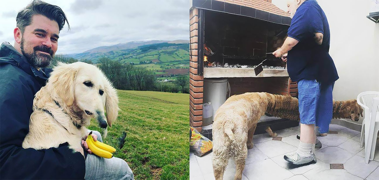 Failed Animals Panoramic Photos That Are Worse Than You’d Think ...