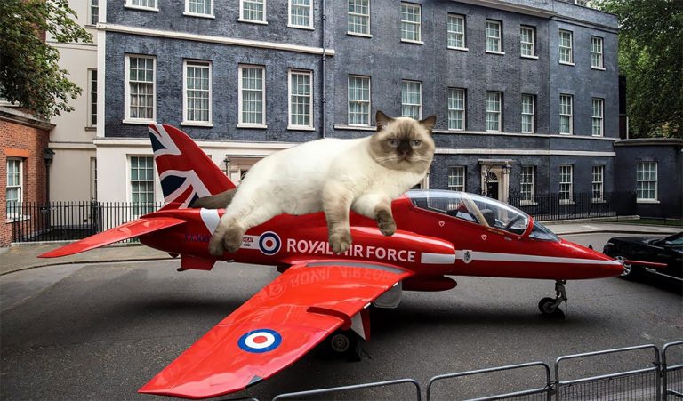 Cats Of War: This Artist Hilariously Combines Military Hardware With ...