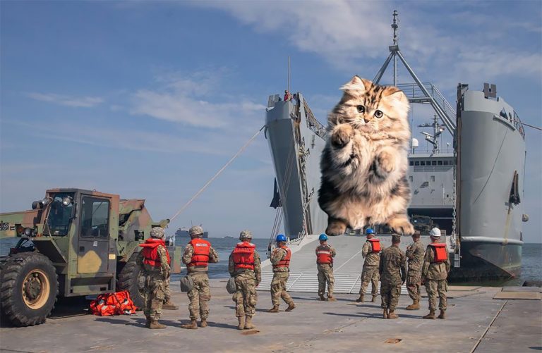 Cats Of War: This Artist Hilariously Combines Military Hardware With ...