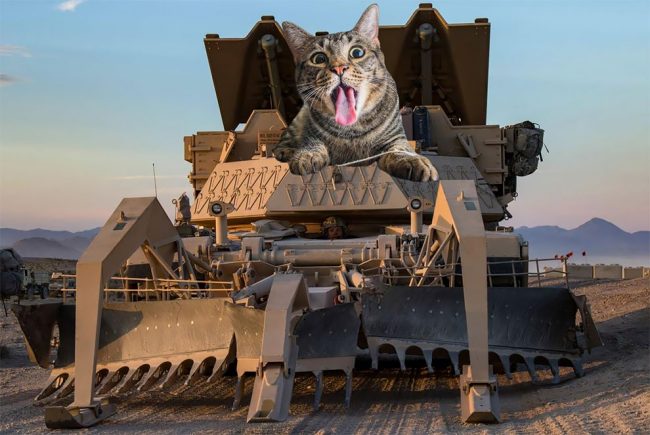 Cats Of War: This Artist Hilariously Combines Military Hardware With ...