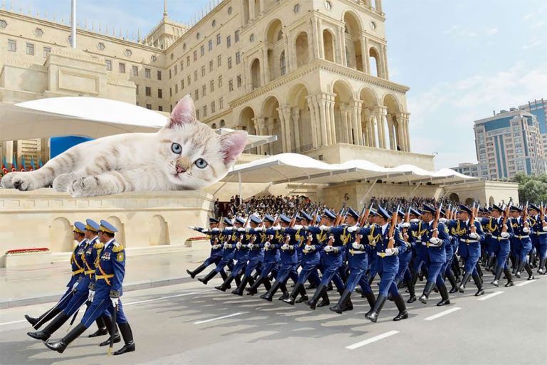 Cats Of War: This Artist Hilariously Combines Military Hardware With ...