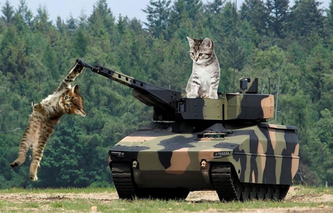 Cats Of War: This Artist Hilariously Combines Military Hardware With ...