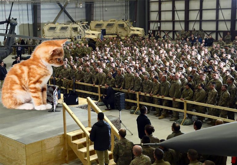 Cats Of War: This Artist Hilariously Combines Military Hardware With ...