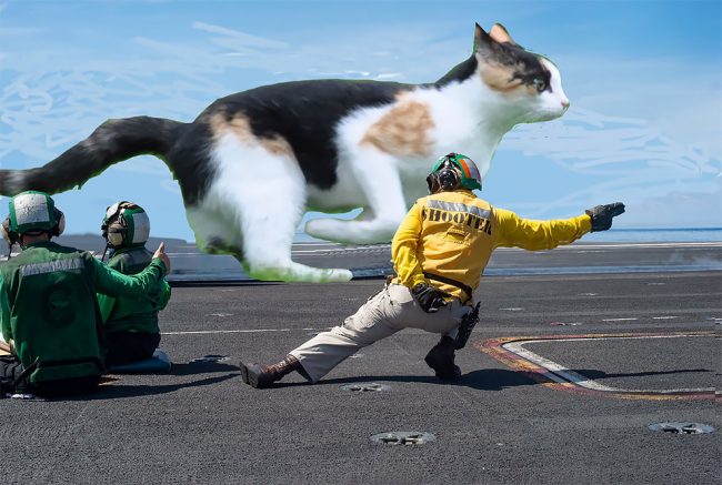 Cats Of War: This Artist Hilariously Combines Military Hardware With ...