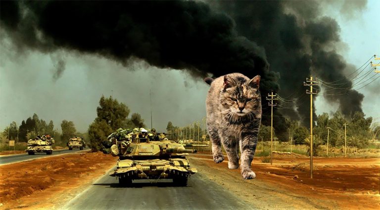 Cats Of War: This Artist Hilariously Combines Military Hardware With ...