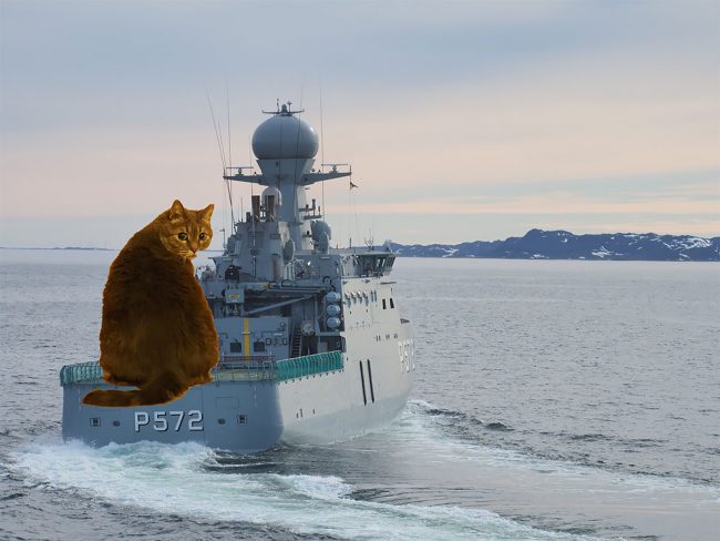 Cats Of War: This Artist Hilariously Combines Military Hardware With ...