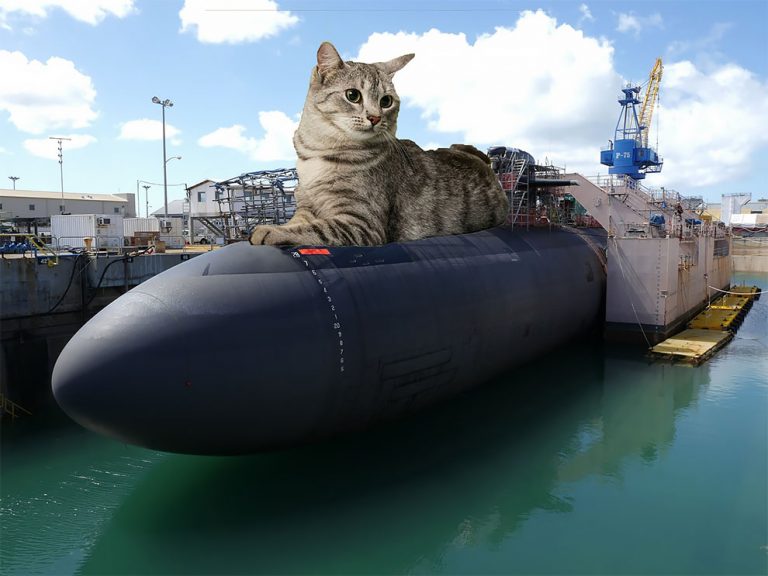 Cats Of War: This Artist Hilariously Combines Military Hardware With ...