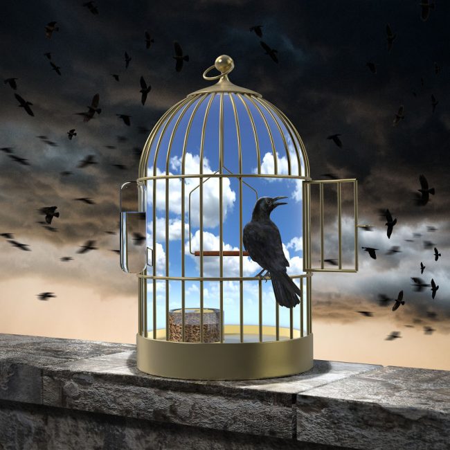 Polish Artist Creates 27 Controversial Illustrations For Political ...