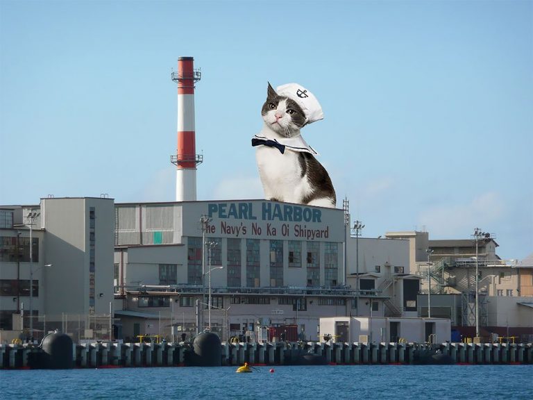 Cats Of War: This Artist Hilariously Combines Military Hardware With ...