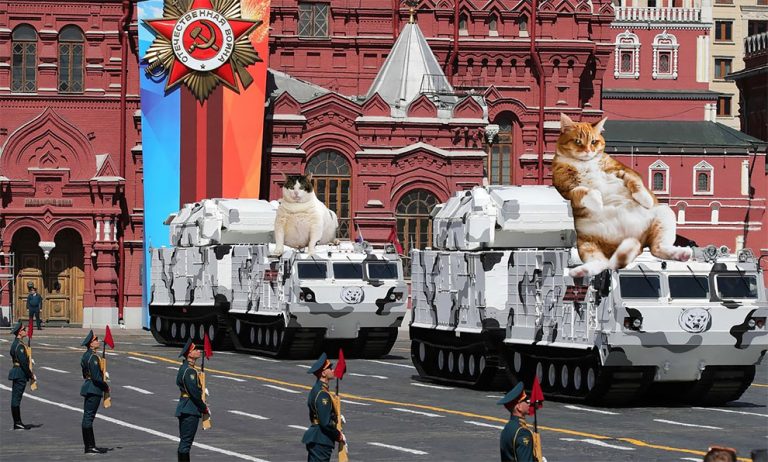 Cats Of War: This Artist Hilariously Combines Military Hardware With ...