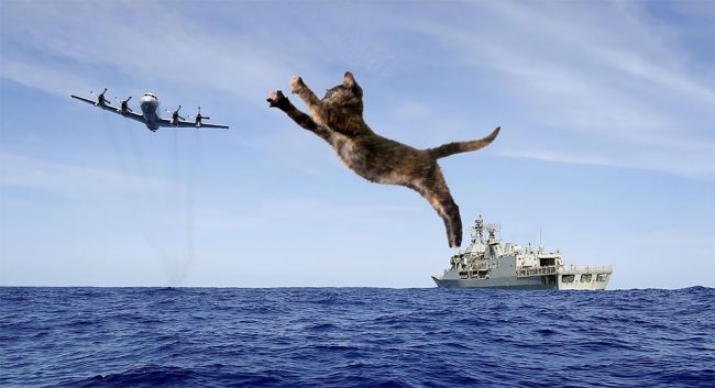 Cats Of War: This Artist Hilariously Combines Military Hardware With ...