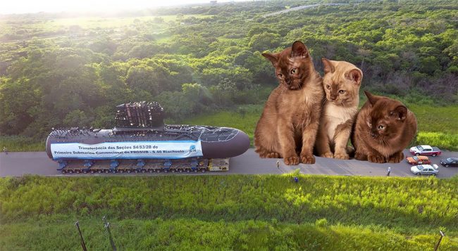 Cats Of War: This Artist Hilariously Combines Military Hardware With ...