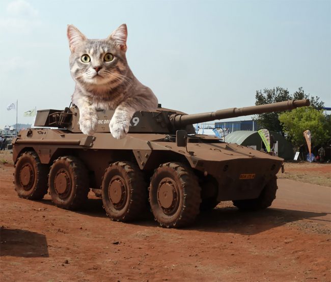 Cats Of War: This Artist Hilariously Combines Military Hardware With ...