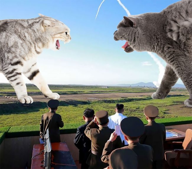 Cats Of War: This Artist Hilariously Combines Military Hardware With ...