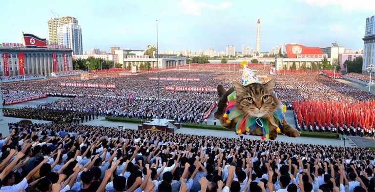 Cats Of War: This Artist Hilariously Combines Military Hardware With ...