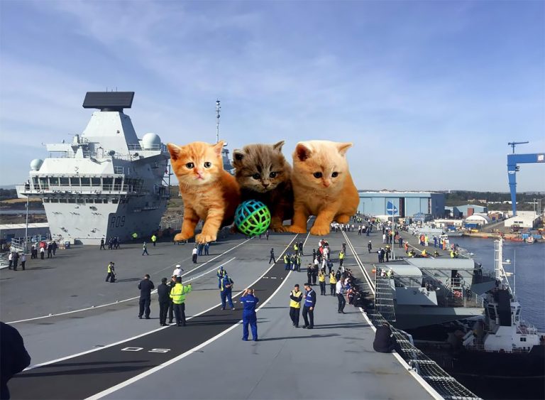 Cats Of War: This Artist Hilariously Combines Military Hardware With ...
