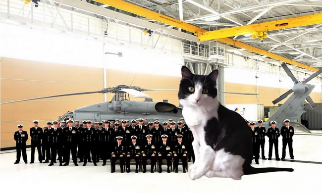 Cats Of War: This Artist Hilariously Combines Military Hardware With ...