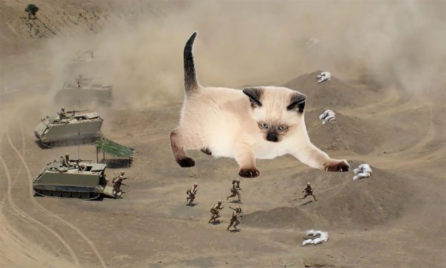 Cats Of War: This Artist Hilariously Combines Military Hardware With ...