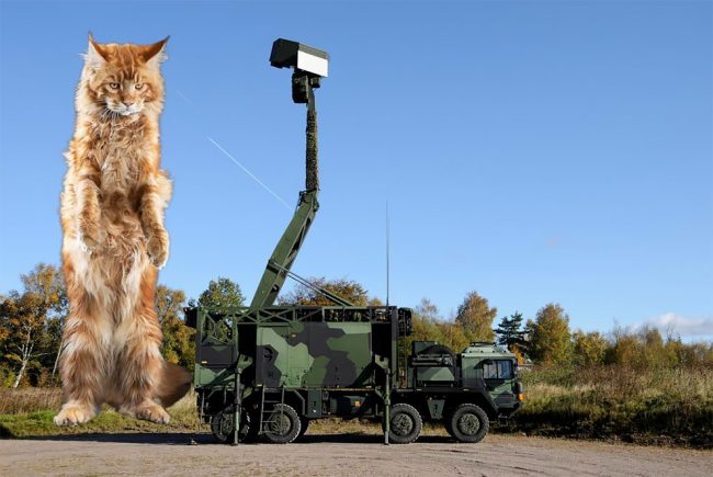 Cats Of War: This Artist Hilariously Combines Military Hardware With ...