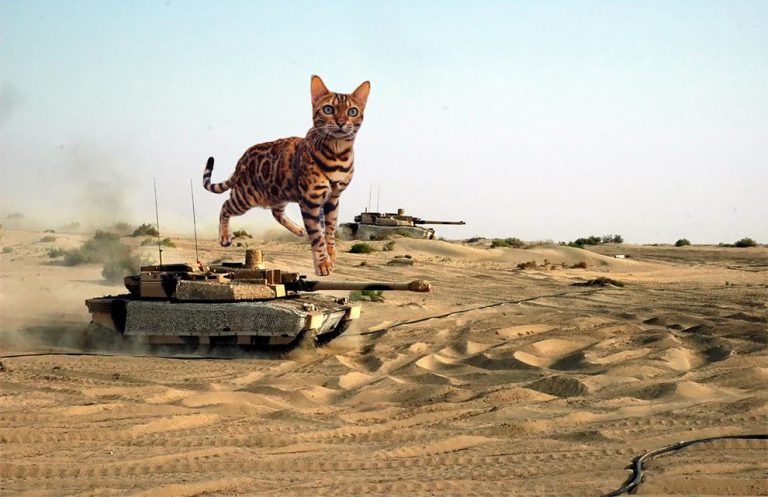 Cats Of War: This Artist Hilariously Combines Military Hardware With ...