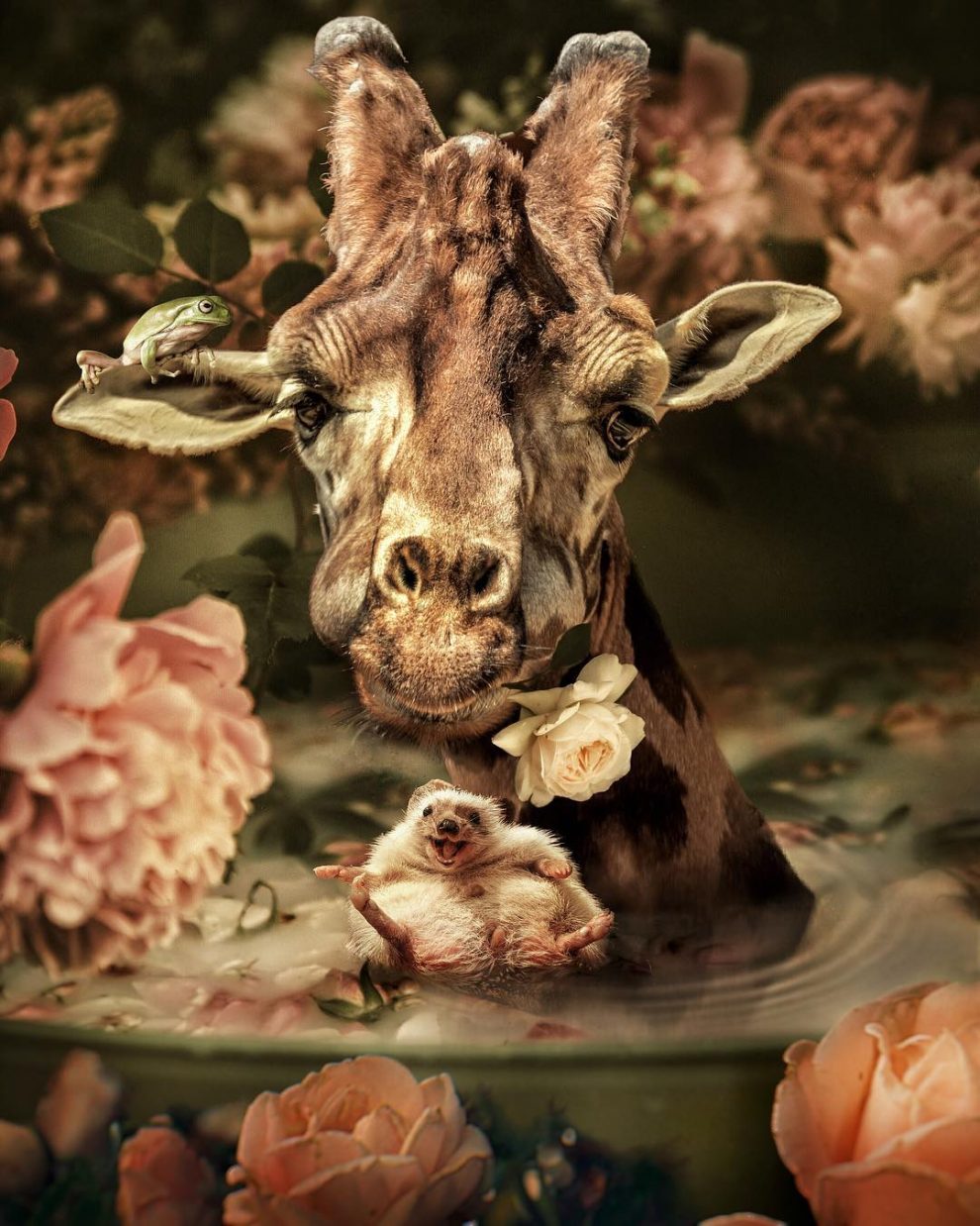The Wonderful World Of Fantasy And Feeling Of The Artist Marcel Van ...