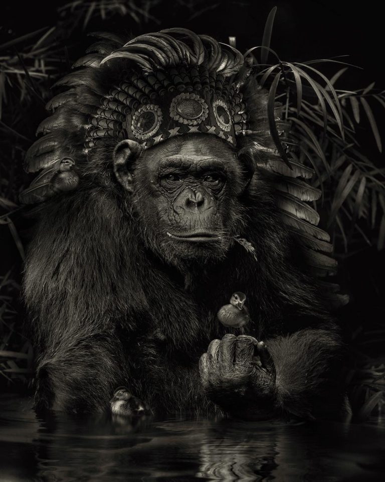 The Wonderful World Of Fantasy And Feeling Of The Artist Marcel Van ...