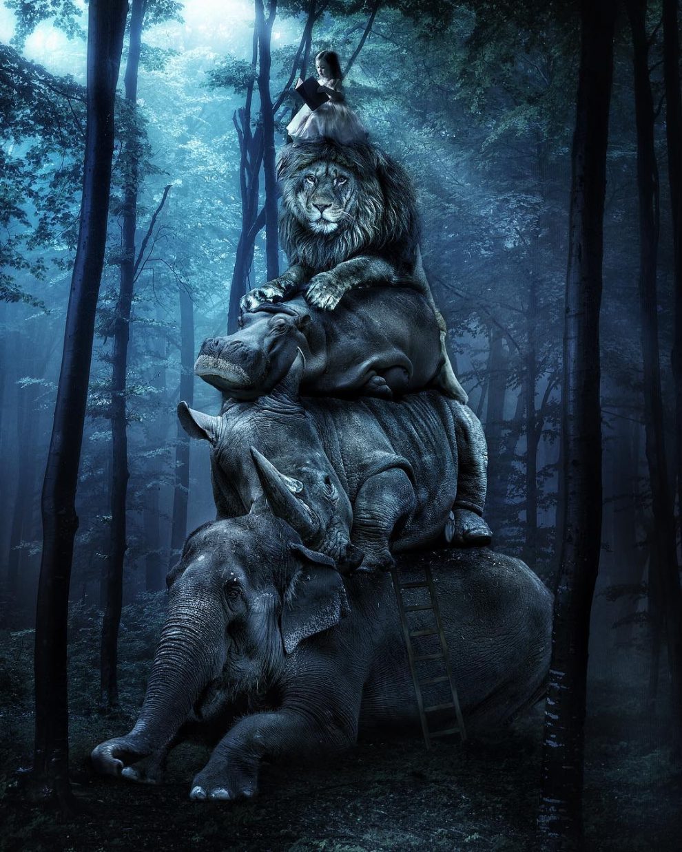 The Wonderful World Of Fantasy And Feeling Of The Artist Marcel Van ...