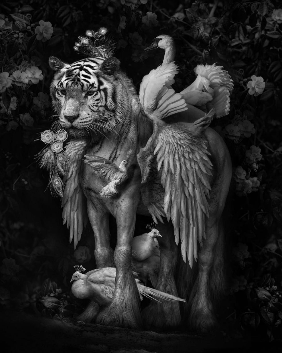 The Wonderful World Of Fantasy And Feeling Of The Artist Marcel Van ...