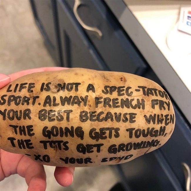 This Mailing Service Lets You Send A Message On A Potato » Design You ...