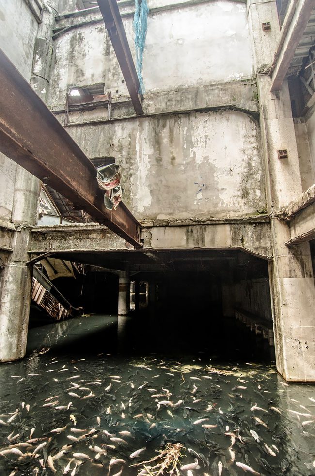 Photographer Captured Post-Apocalyptic Images Of Abandoned Bangkok ...