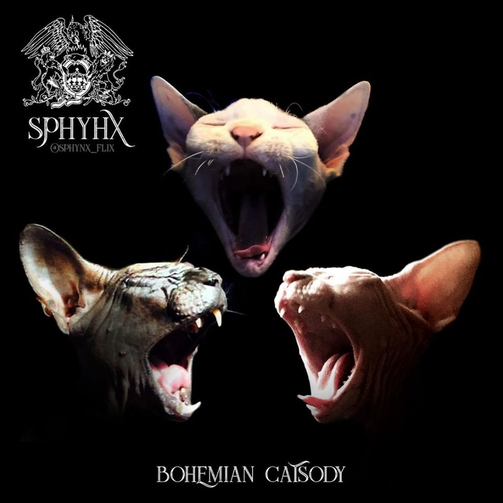 This Artist Photoshops Sphynx Cats Into Movie Posters, And It’s Very ...