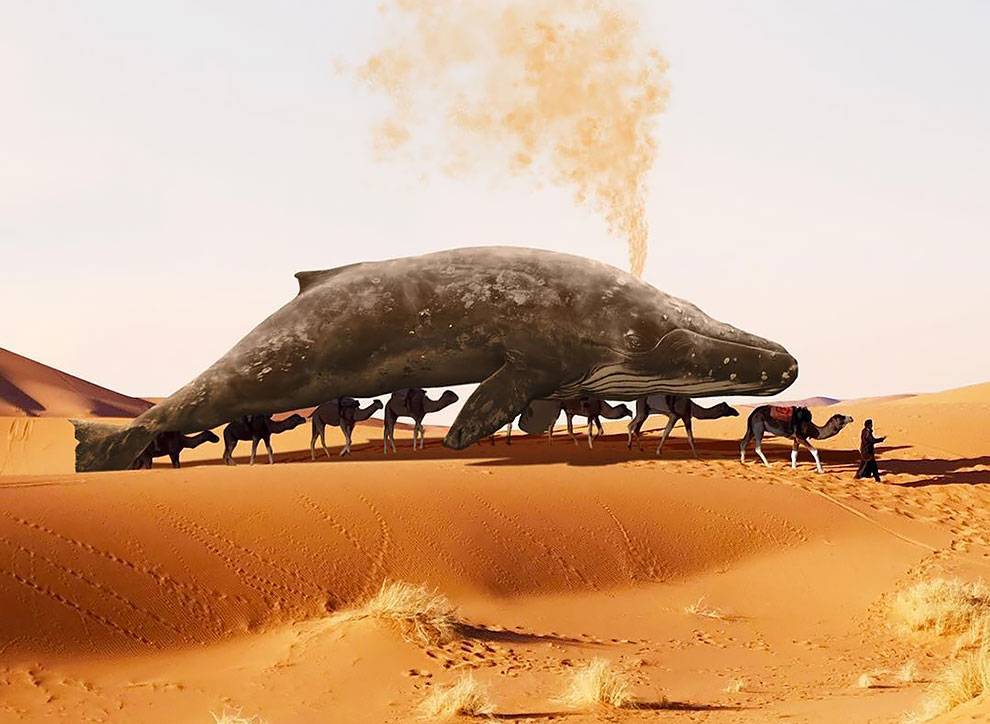 Digital Artist Turns Nature’s Images Into Animals