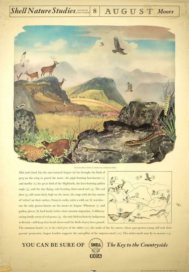Traveller’s Joy – The Key To The Countryside – Beautiful Shell Adverts ...