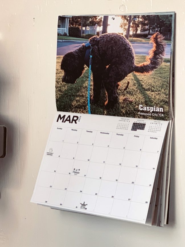 2020 Pooping Dogs Calendar Is Here » Design You Trust — Design Daily ...
