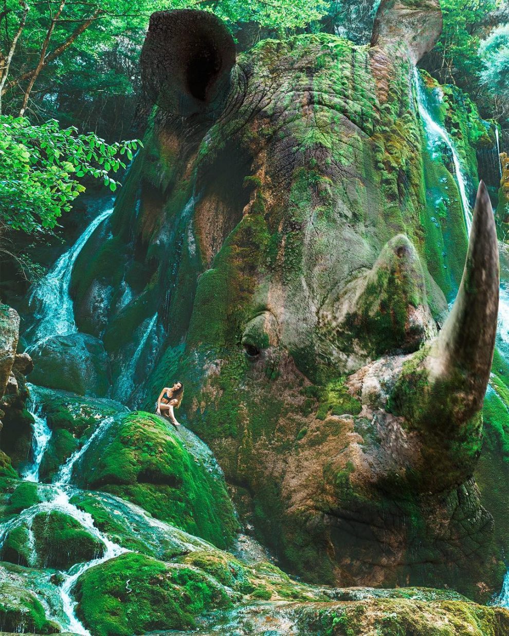 Digital Artist Turns Nature’s Images Into Animals » Design You Trust ...