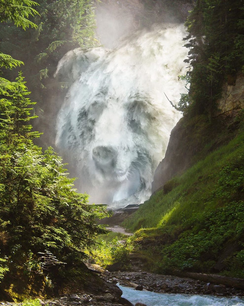 Digital Artist Turns Nature’s Images Into Animals » Design You Trust ...