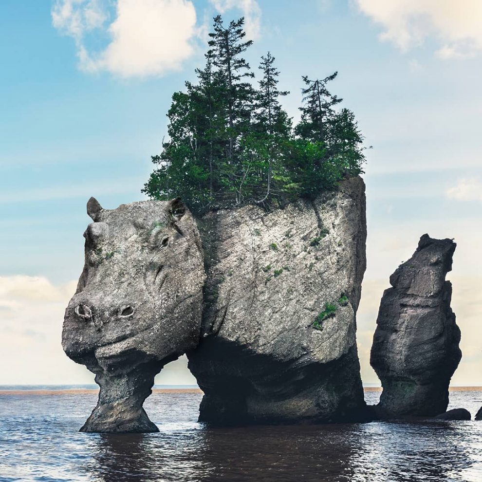 Digital Artist Turns Nature’s Images Into Animals » Design You Trust ...
