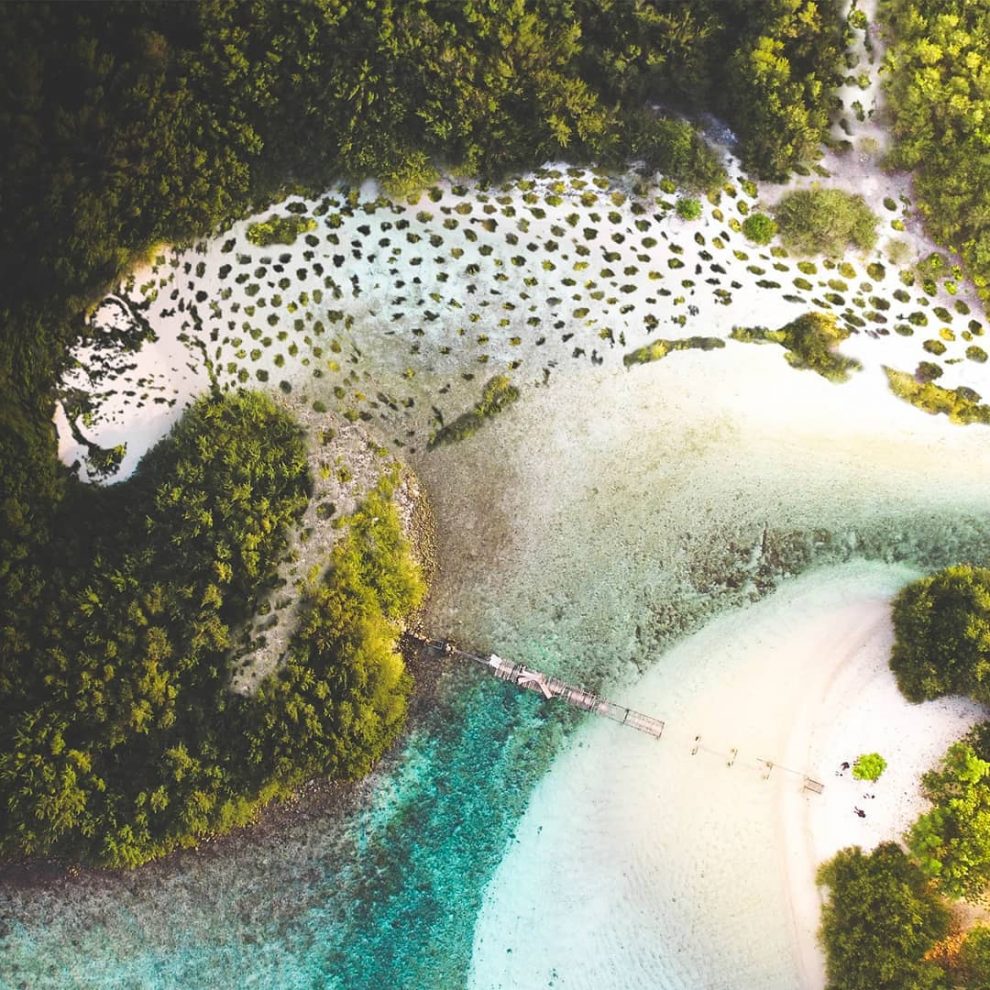 Digital Artist Turns Nature’s Images Into Animals » Design You Trust ...