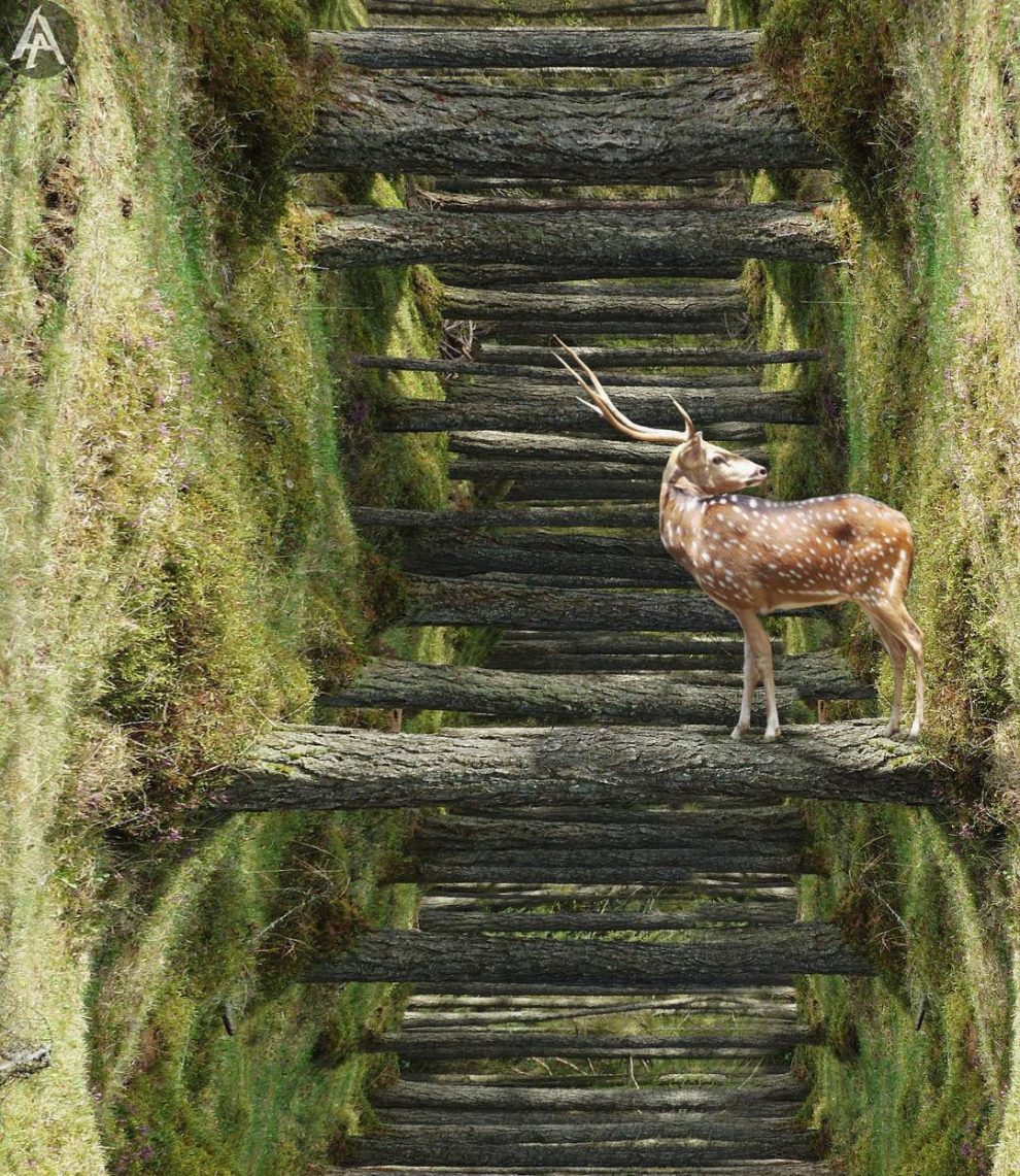 Creative Photo Manipulations Of Animals By Indonesian Digital Artist ...