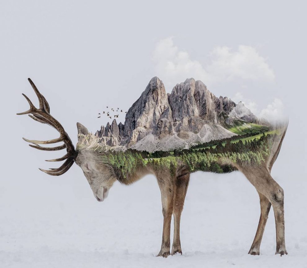 Creative Photo Manipulations Of Animals By Indonesian Digital Artist ...