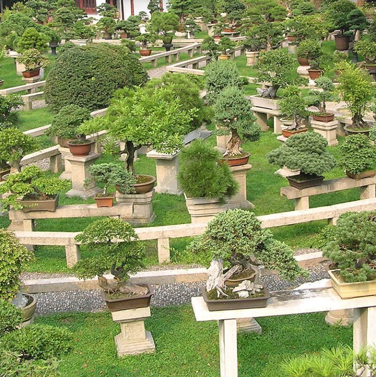 Shanghai’s 1000 Trees Project Takes Shape » Design You Trust — Design ...