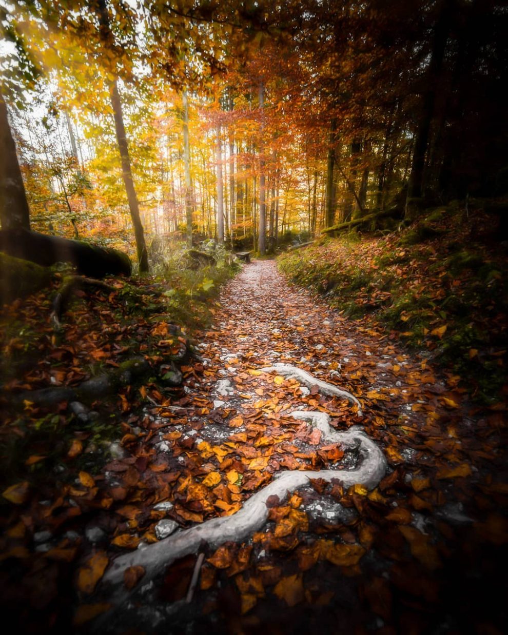 Moody And Cinematic Urban Landscapes By Kevin Hufnagl » Design You ...